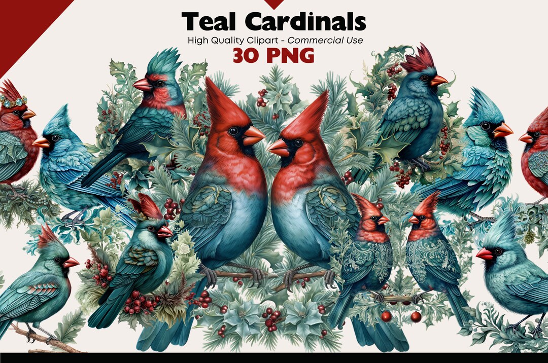 Christmas Cardinal Clipart Bundle, Winter Bird Watercolor, Teal ...