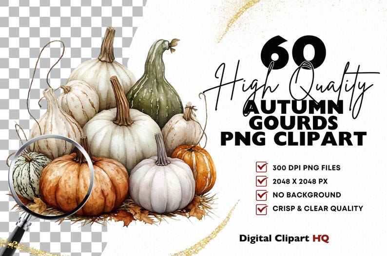 Autumn Gourds Clipart Bundle Watercolor Fall Harvest Graphics Digital ...