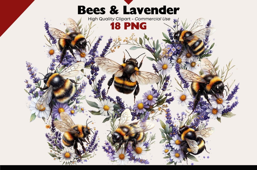 Watercolor Bees and Lavender Clipart Bundle Floral Honeybee PNG for ...
