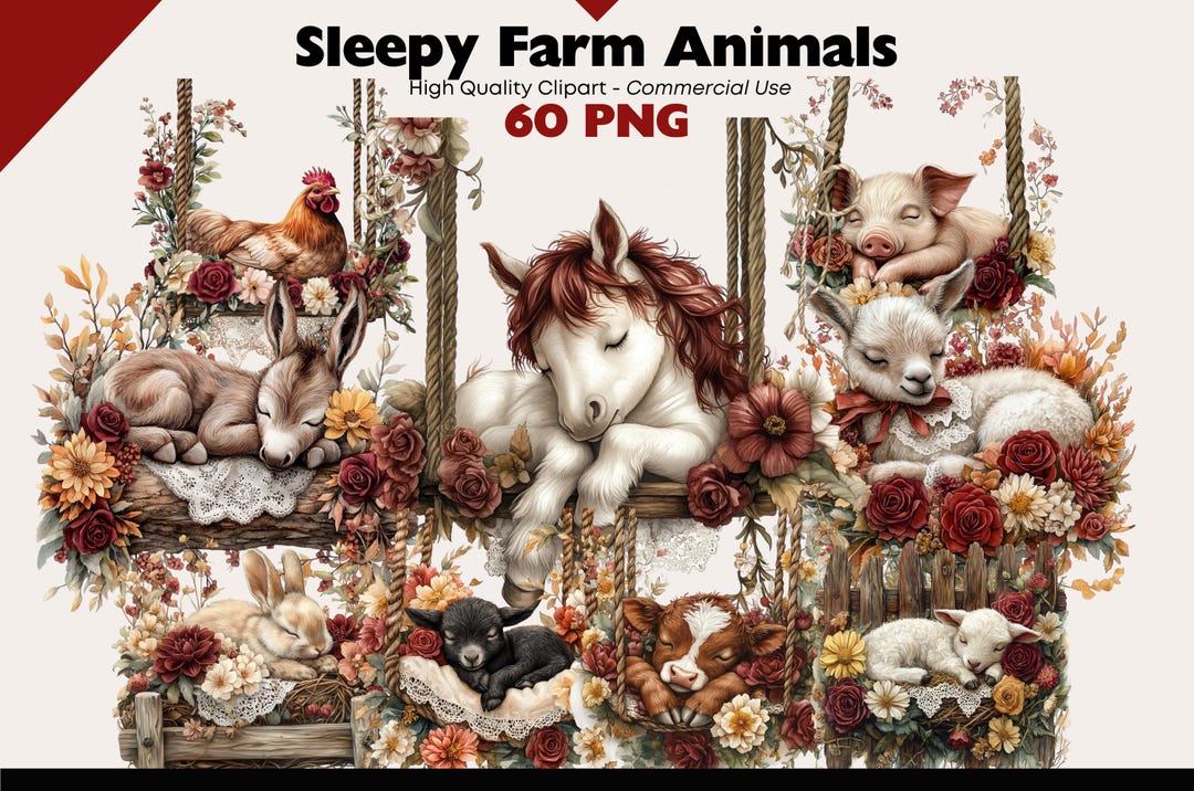 Farm Animal Clipart Bundle Bundle Cute Wildlife Png Digital Download ...