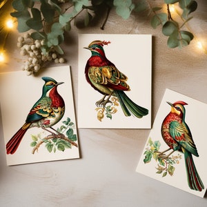 Fantasy Christmas Birds PNG Clipart Bundle, Fantasy Birds Winter ...