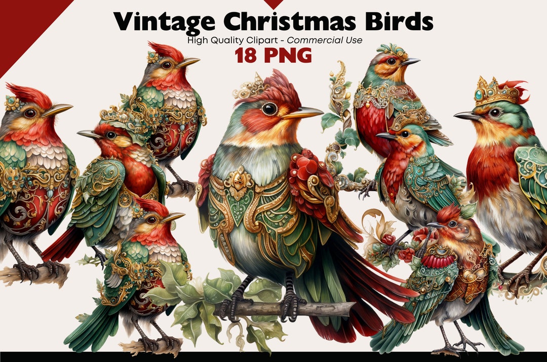 Vintage Christmas Birds PNG Clipart Bundle, Fantasy Bird Winter ...