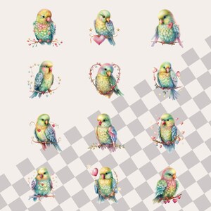 Pastel Birds Clipart Bundle, Parrot PNG, Watercolor Bird Illustrations ...