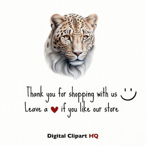 Leopard Clipart Bundle, PNG Jungle Cat Illustrations, Wildlife Digital ...