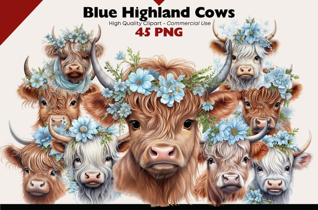 Blue Highland Cow Clipart Bundle, Baby Cow Flower Crown, Highland Cow ...