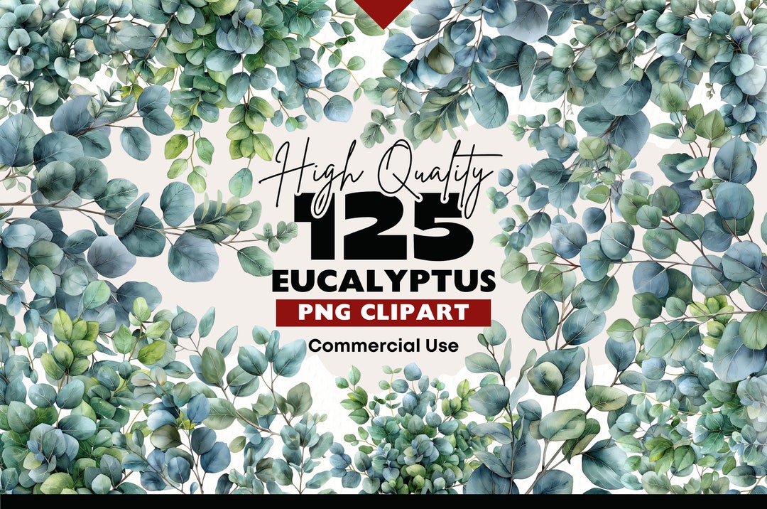 Eucalyptus Clipart Big Bundle, Beautiful Green Floral Watercolor ...