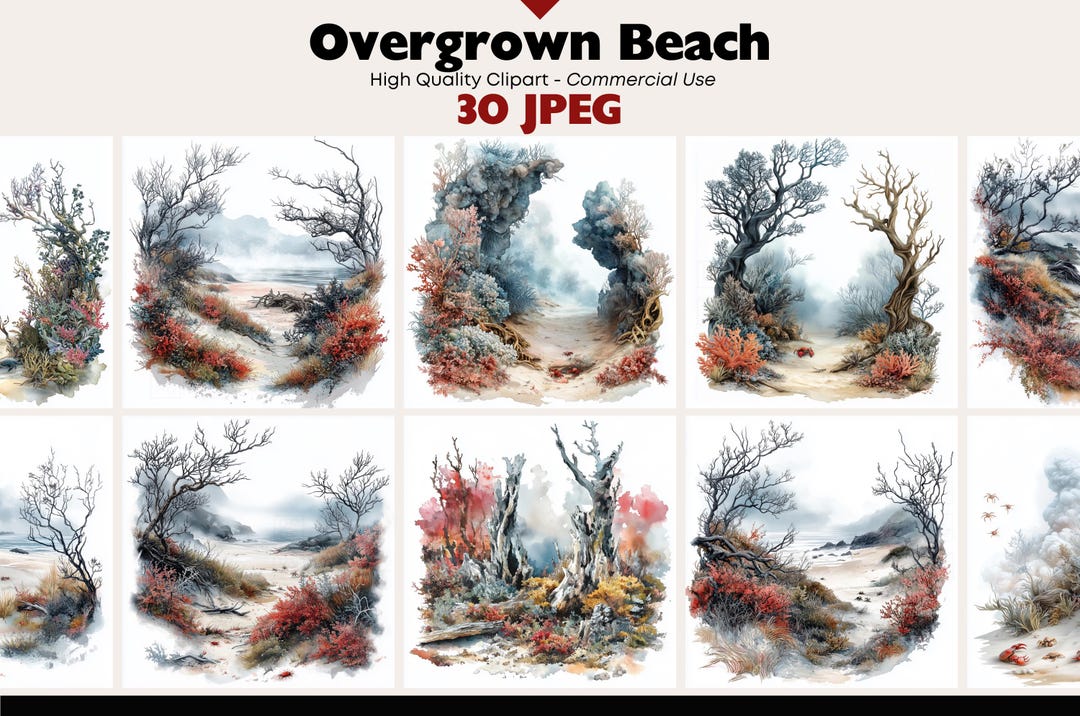 Overgrown Beach Scenes Clipart Bundle Coastal Landscape Graphics ...