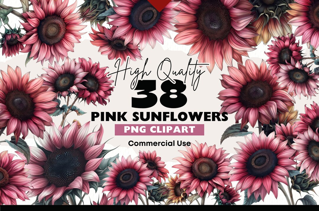 Pink Sunflowers Clipart Bundle, Watercolor Sunflowers PNG, Pink ...