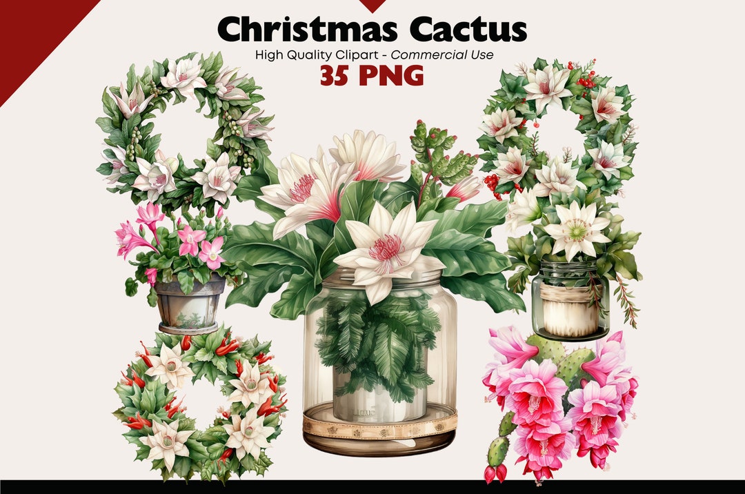 Christmas Cactus Clip Art Bundle, Watercolor Cactus, Holiday Succulent ...