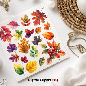 Autumn Leaves Watercolor Clipart Bundle Fall Watercolor Maple Leaf Png ...