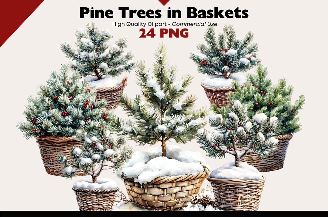 Boho Pine Tree in Basket Clipart Bundle Watercolor Winter Pine PNG ...