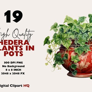 Ivy Plant Clipart Watercolor Hedera Helix House Plants PNG - Etsy