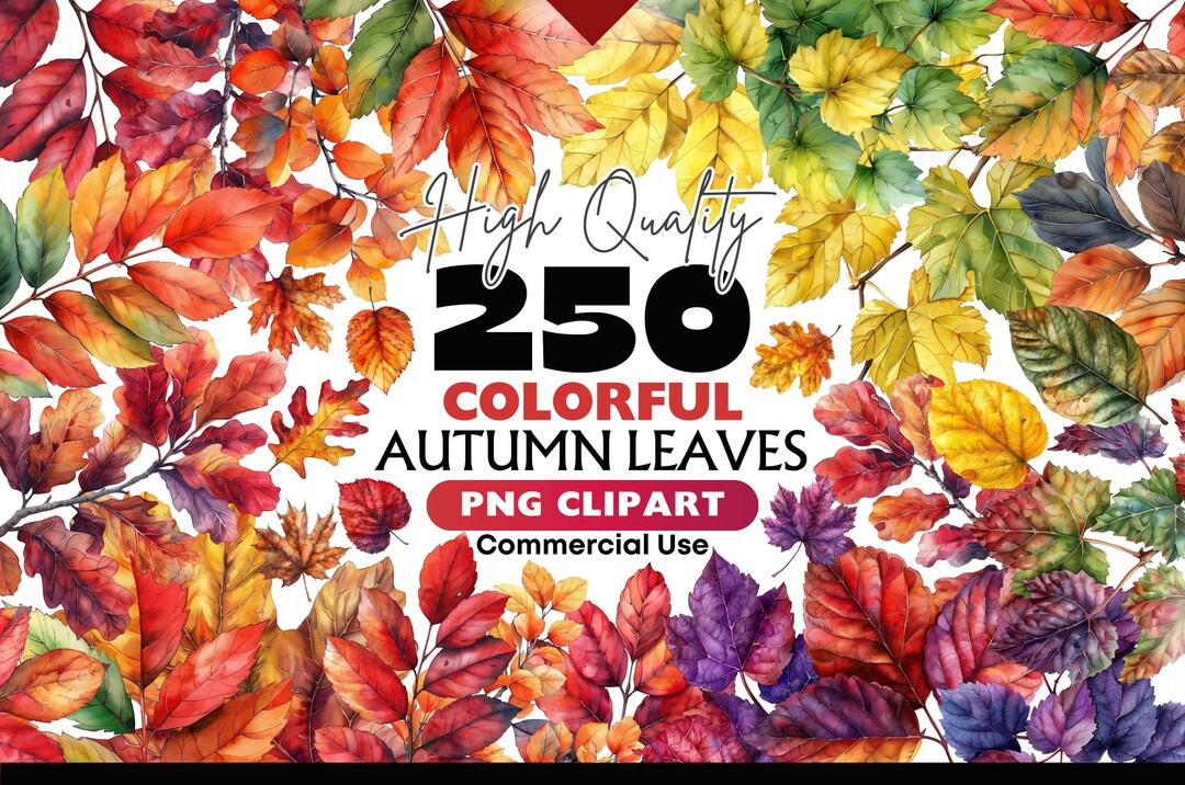 Autumn Leaves Watercolor Clipart Bundle Fall Watercolor Maple Leaf Png ...
