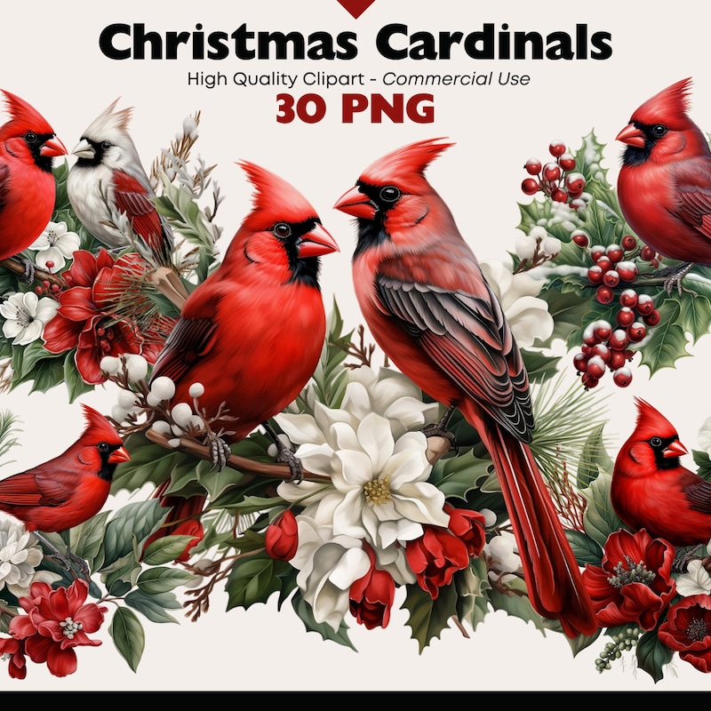 Cardinal Christmas Light - Etsy