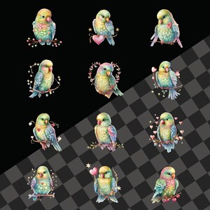 Pastel Birds Clipart Bundle, Parrot PNG, Watercolor Bird Illustrations ...