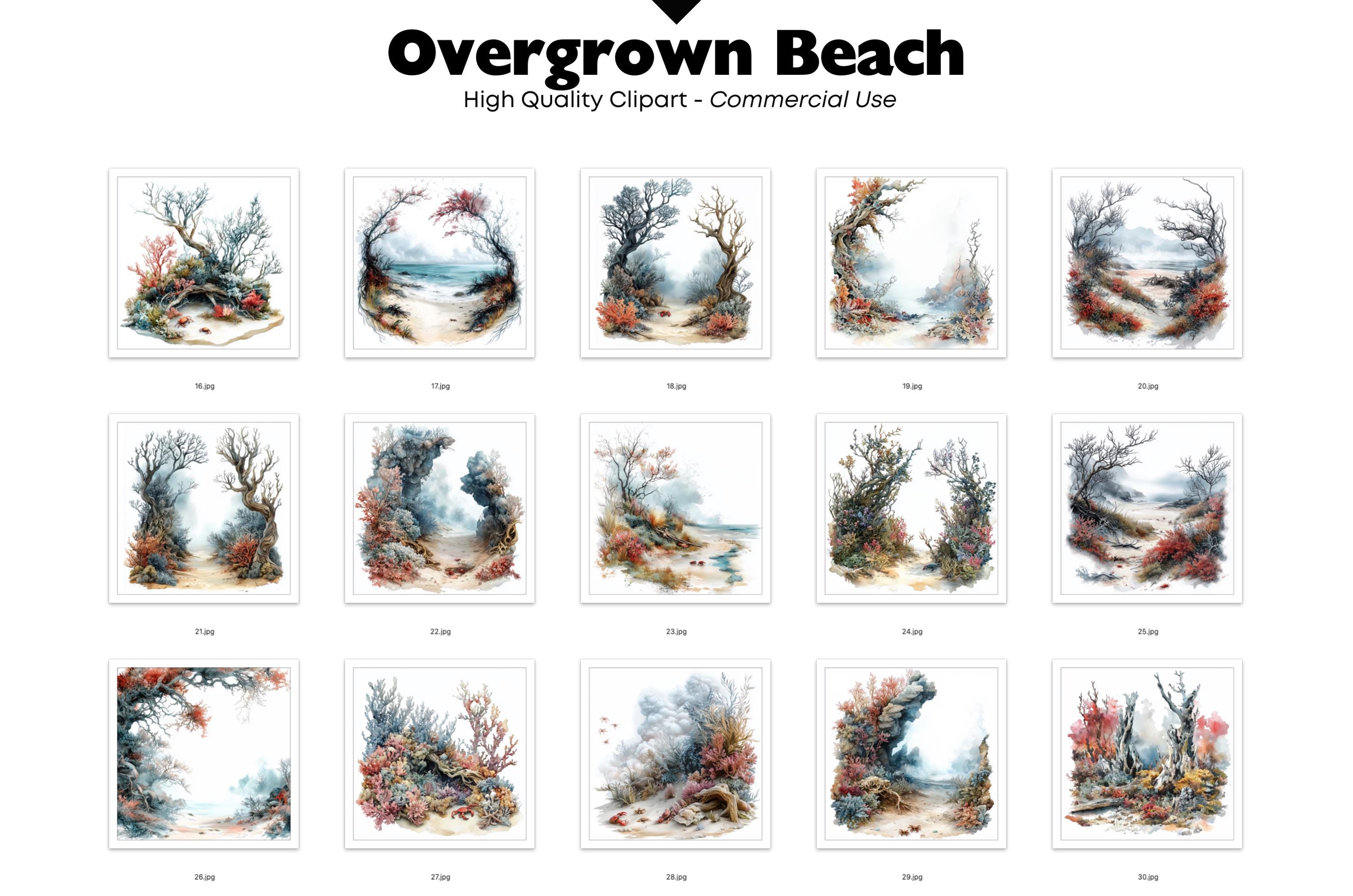 Overgrown Beach Scenes Clipart Bundle Coastal Landscape Graphics ...