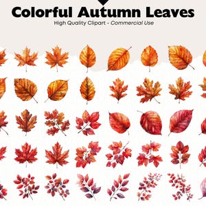 Autumn Leaves Watercolor Clipart Bundle Fall Watercolor Maple Leaf Png ...