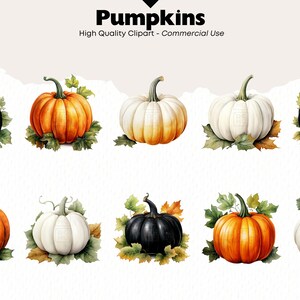 Pumpkin Clipart Bundle | Autumn Harvest Pumpkins | Digital Download PNG ...