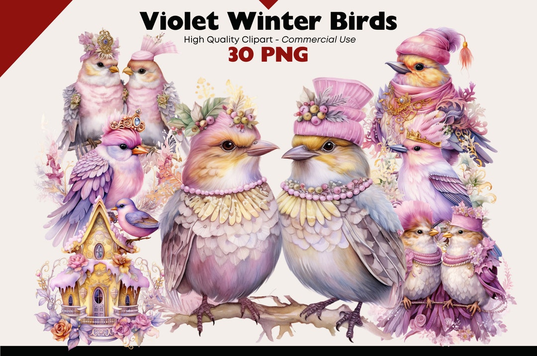 Vintage Winter Birds Clipart Bundle, Fantasy Birds Watercolor, Couple ...