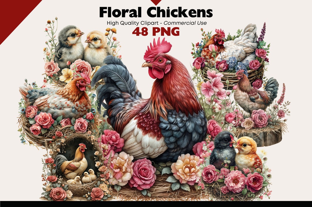 Floral Chicken Clipart Bundle, Spring Chicken Watercolor, Rose Chicken ...