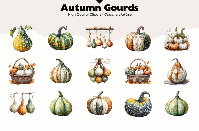Autumn Gourds Clipart Bundle Watercolor Fall Harvest Graphics Digital ...
