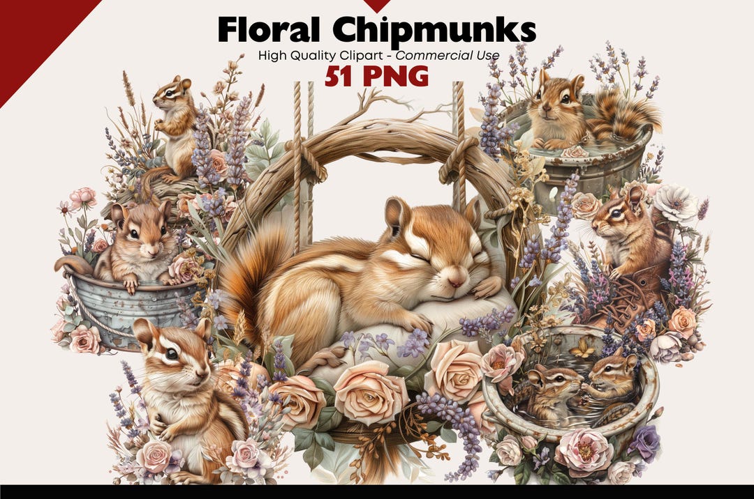 Floral Chipmunk Clipart Bundle Forest Animals Watercolor Wildlife Png ...