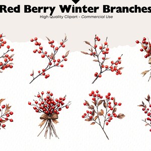 Red Berry Branch Clipart Bundle Watercolor Winter Branches PNG Holiday ...