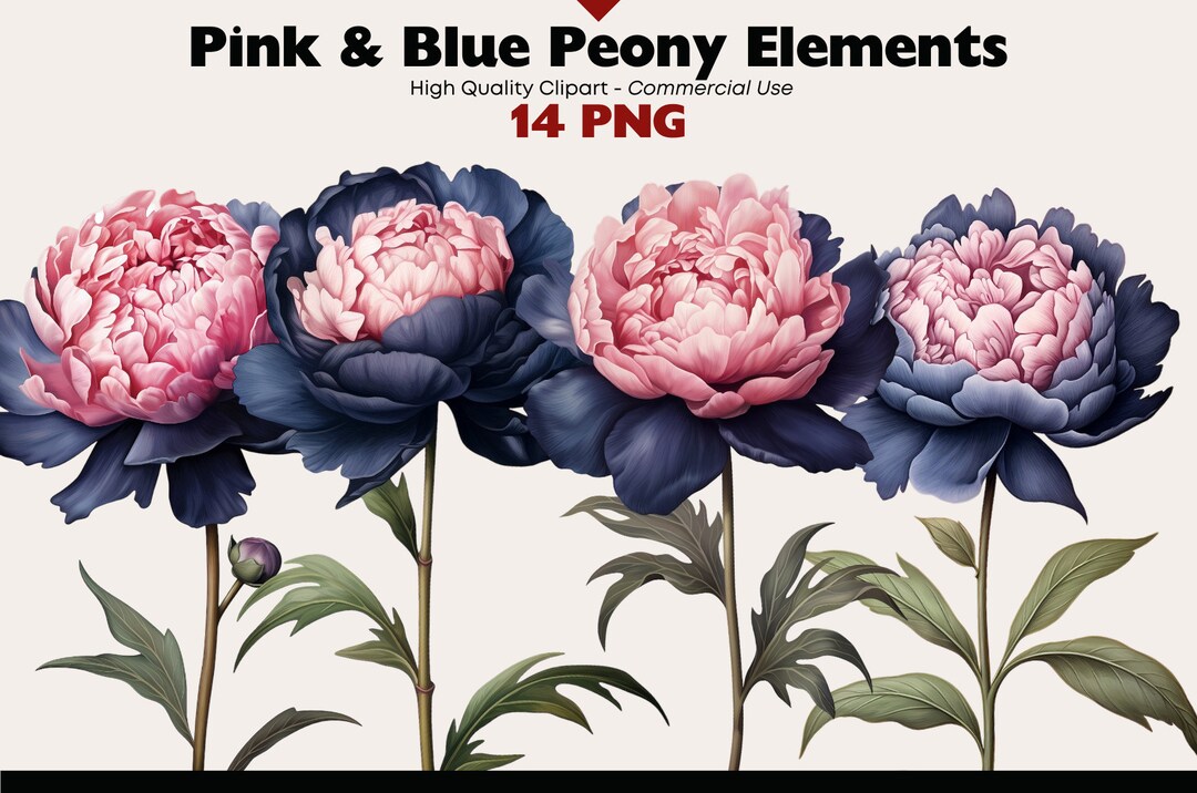 Pink and Blue Peony Clipart Bundle Watercolor Peonies Single - Etsy