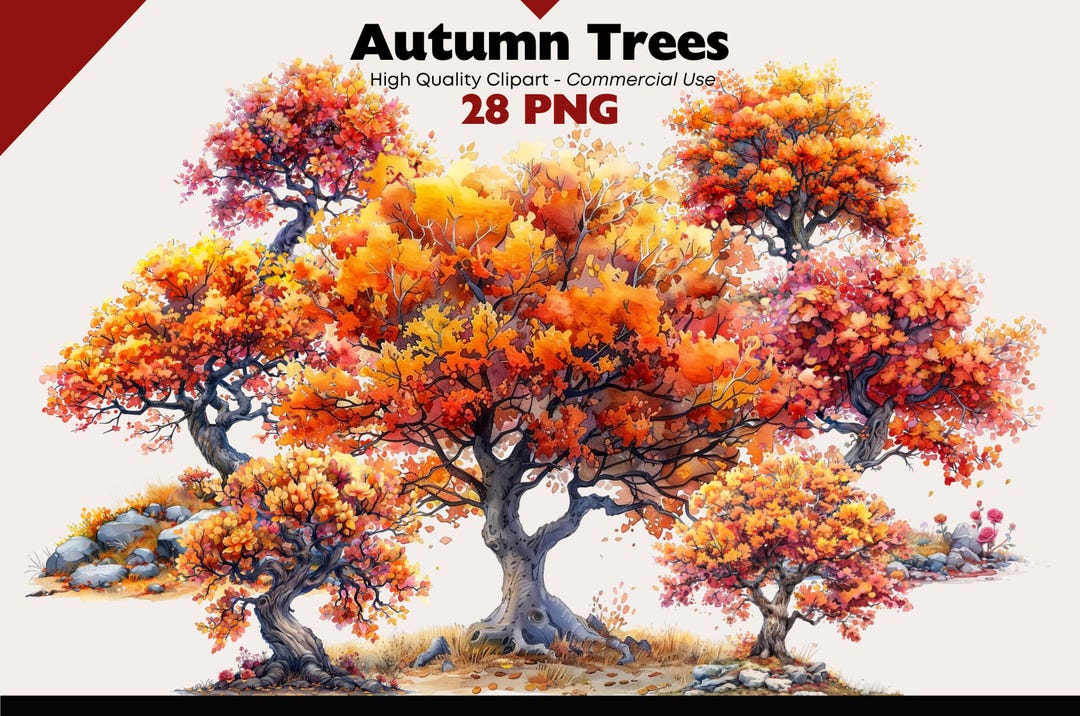 Autumn Tree Clipart Bundle | Fall Foliage Graphics | Digital Download ...