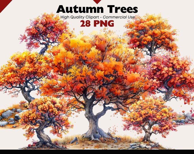 Autumn Tree Clipart Bundle | Fall Foliage Graphics | Digital Download ...