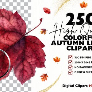 Autumn Leaves Watercolor Clipart Bundle Fall Watercolor Maple Leaf Png ...