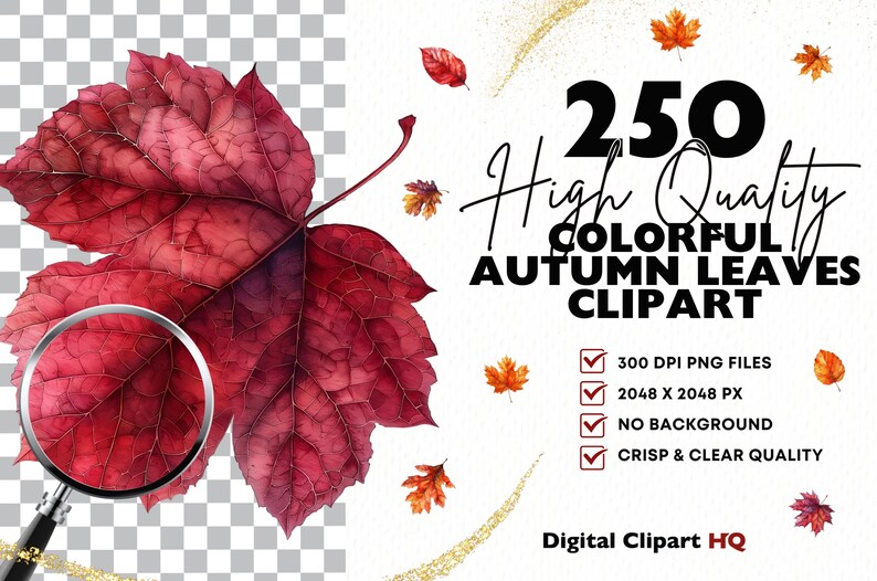 Autumn Leaves Watercolor Clipart Bundle Fall Watercolor Maple Leaf Png ...