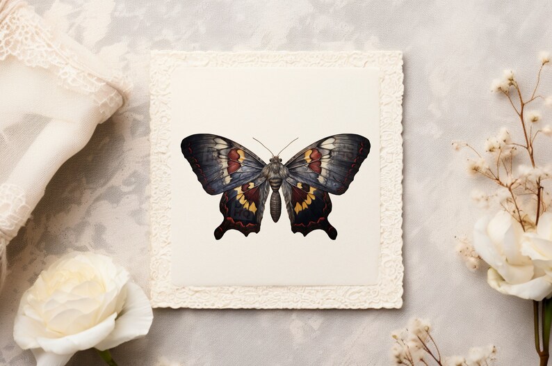 Black and Red Moths Clipart, PNG Moth Watercolor, Butterfly PNG ...