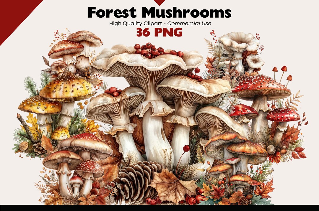 Forest Mushroom Clipart Bundle, Fantasy Portobello Watercolor ...