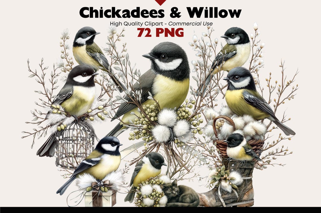 Chickadees Bird Clipart Bundle Watercolor Winter Birds & Willow ...