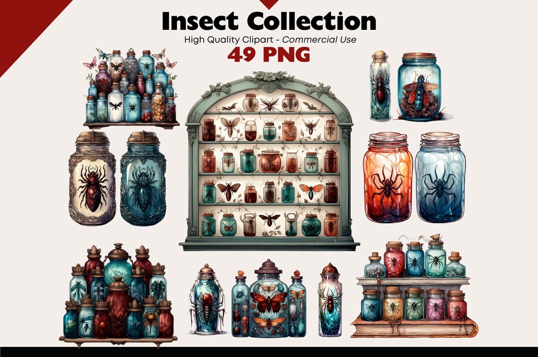 Insect Collection Clipart Bundle, Bugs in Jar Watercolor, Vintage Jar ...