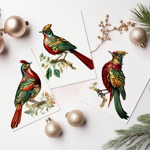 Fantasy Christmas Birds PNG Clipart Bundle, Fantasy Birds Winter ...