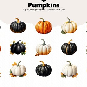 Pumpkin Clipart Bundle | Autumn Harvest Pumpkins | Digital Download PNG ...