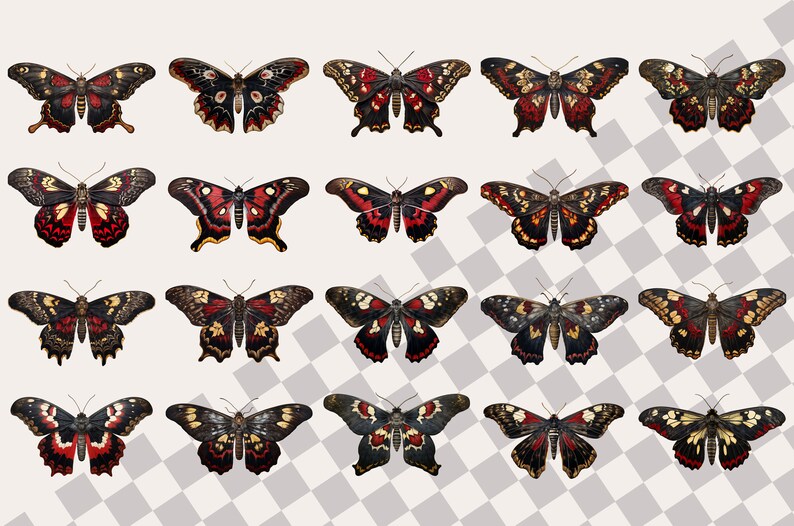 Black and Red Moths Clipart, PNG Moth Watercolor, Butterfly PNG ...