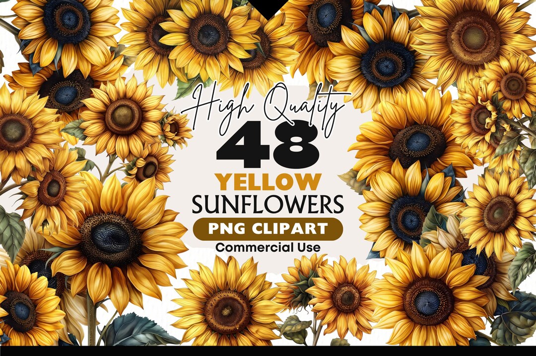 Sunflower Clipart Bundle, Watercolor Sunflowers PNG, Botanical Graphics ...