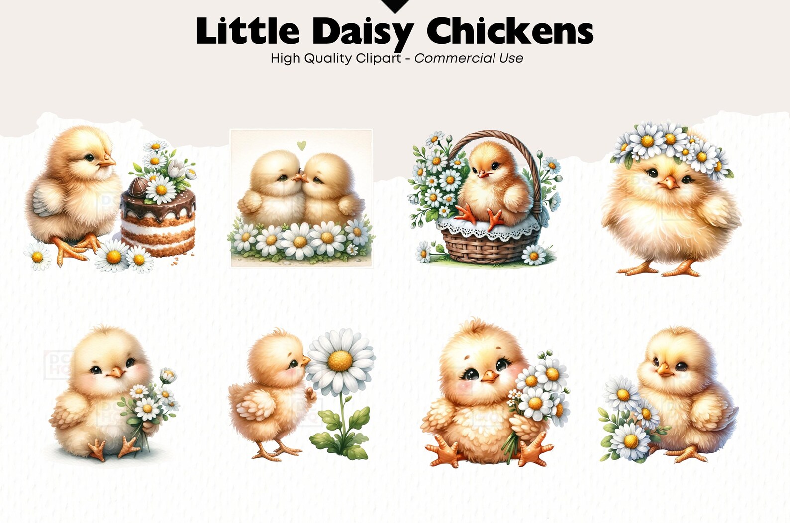 Cute Daisy Chickens Clipart Bundle Spring Animals Digital Download PNG ...
