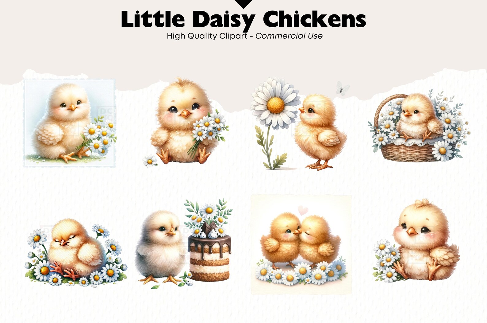 Cute Daisy Chickens Clipart Bundle Spring Animals Digital Download PNG ...