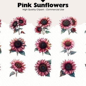 Pink Sunflowers Clipart Bundle, Watercolor Sunflowers PNG, Pink ...