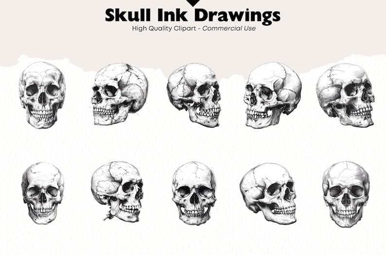 Skull Ink Drawing Clipart Bundle Watercolor Tattoo Skeleton PNG Human ...