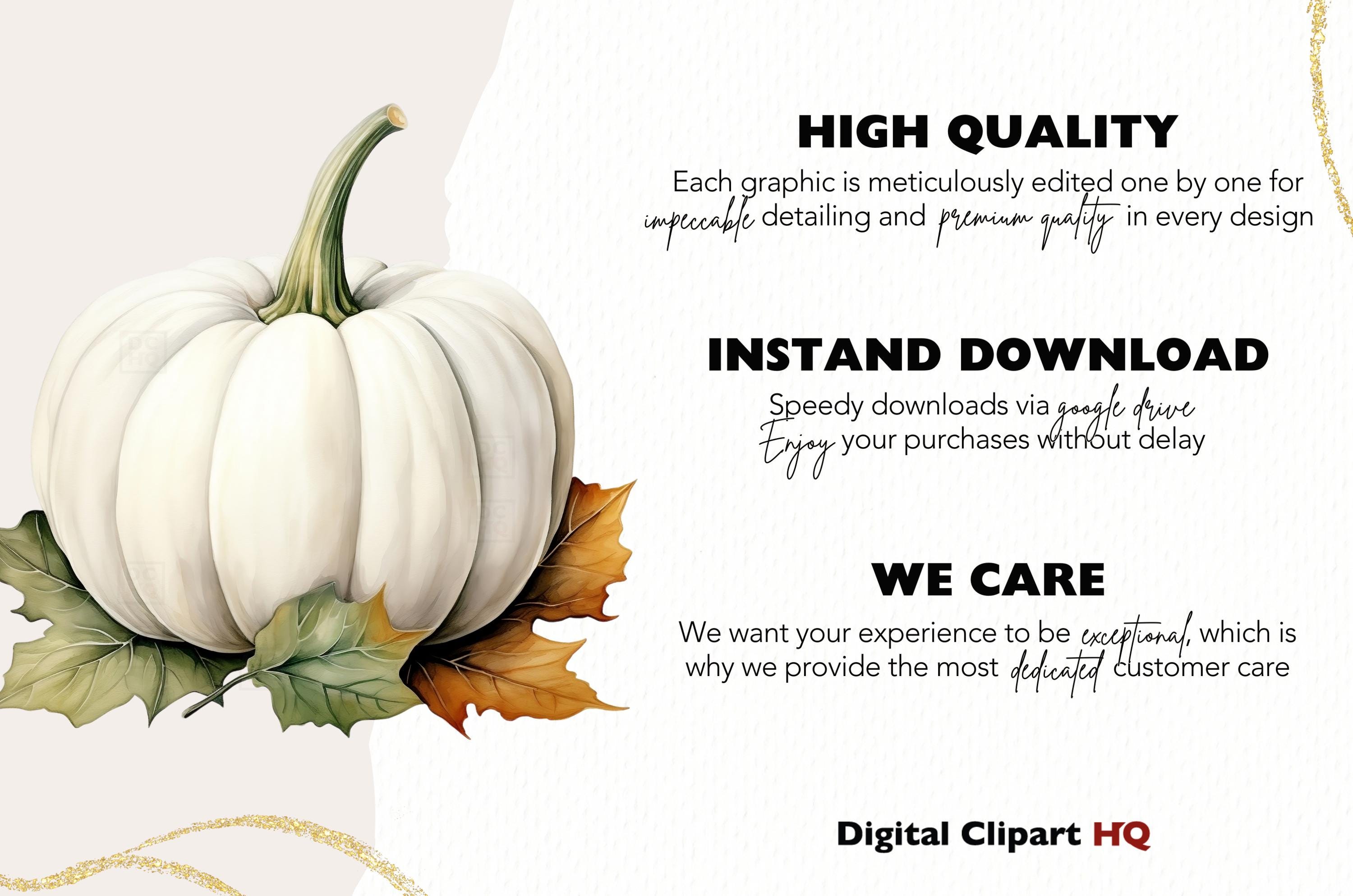 Pumpkin Clipart Bundle | Autumn Harvest Pumpkins | Digital Download PNG ...