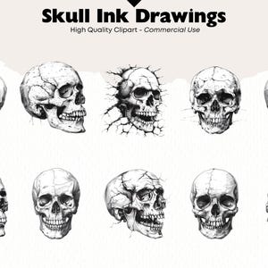 Skull Ink Drawing Clipart Bundle Watercolor Tattoo Skeleton PNG Human Skull Graphics Digital ...