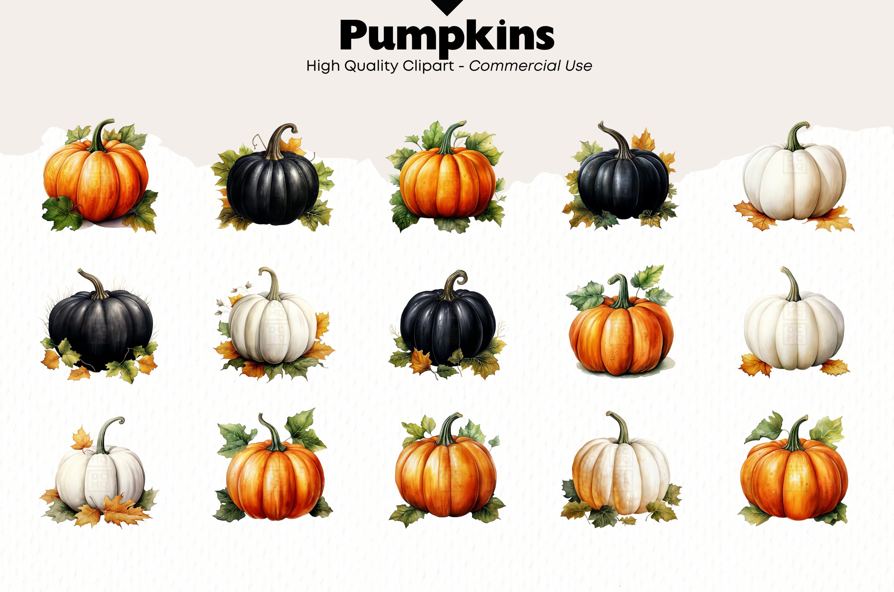 Pumpkin Clipart Bundle | Autumn Harvest Pumpkins | Digital Download PNG ...