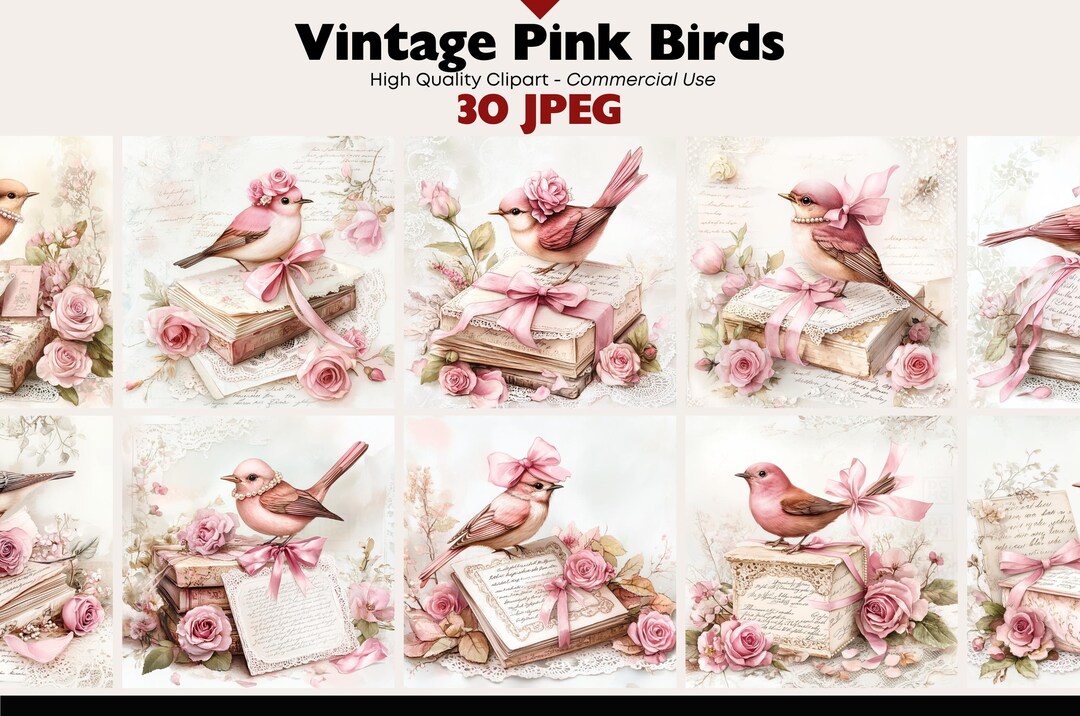 Vintage Pink Birds Clipart JPEG, Romantic Bird Graphics, Shabby Chic ...