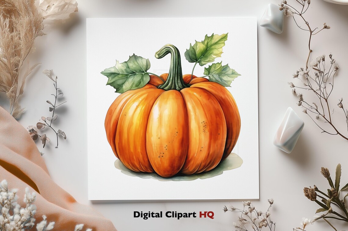 Pumpkin Clipart Bundle | Autumn Harvest Pumpkins | Digital Download PNG ...