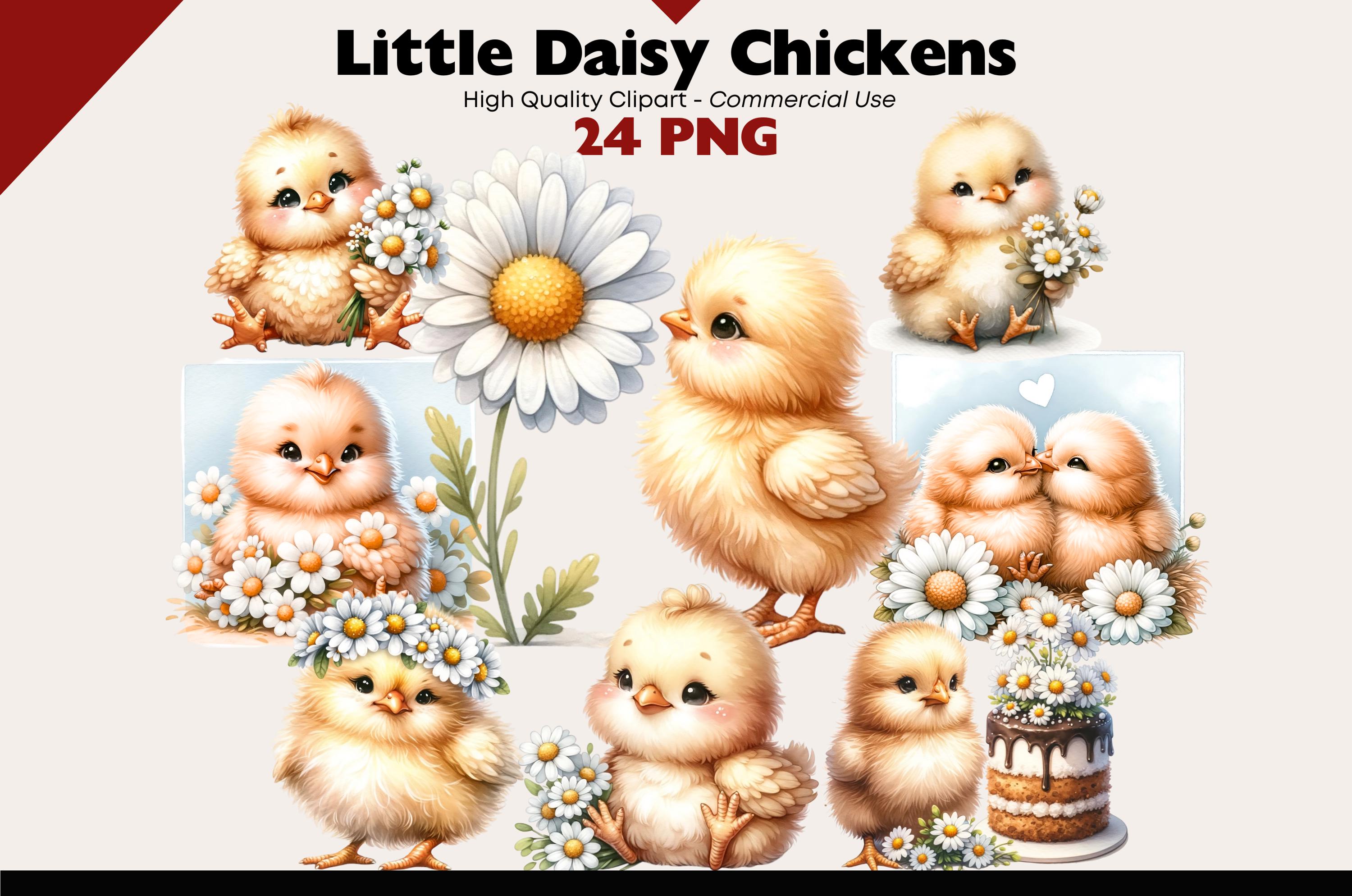 Cute Daisy Chickens Clipart Bundle Spring Animals Digital Download PNG ...